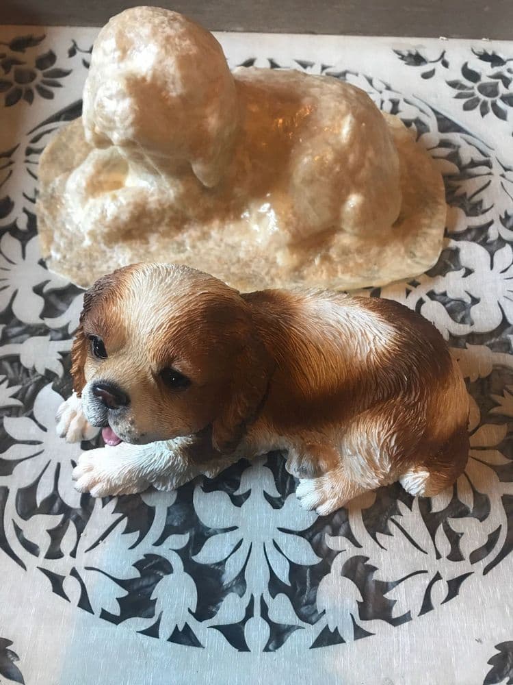 Springer Spaniel Puppy Mould
