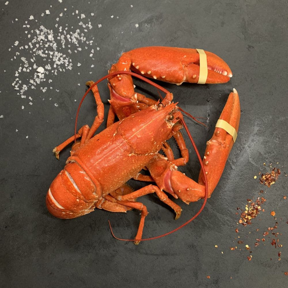 Fresh Cooked Devon Lobster Delivered to your door - Hamiltons Fish