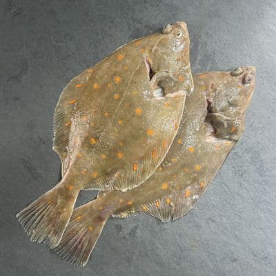 Hamiltons Fish - Fresh Wild Caught Seafood Delivered
