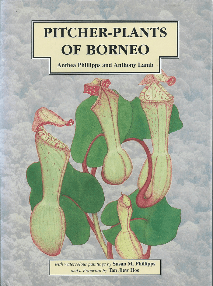Pitcher plants of Borneo A.Phillipps & A.Lamb