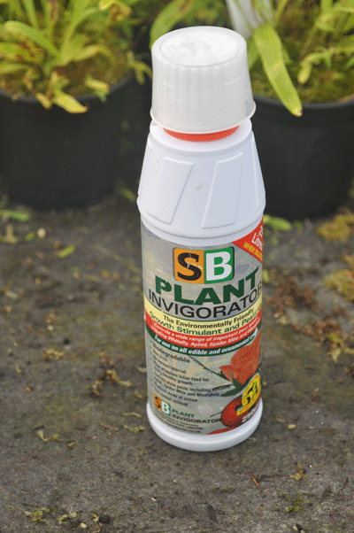 SB plant invigorator 250ml concentrate