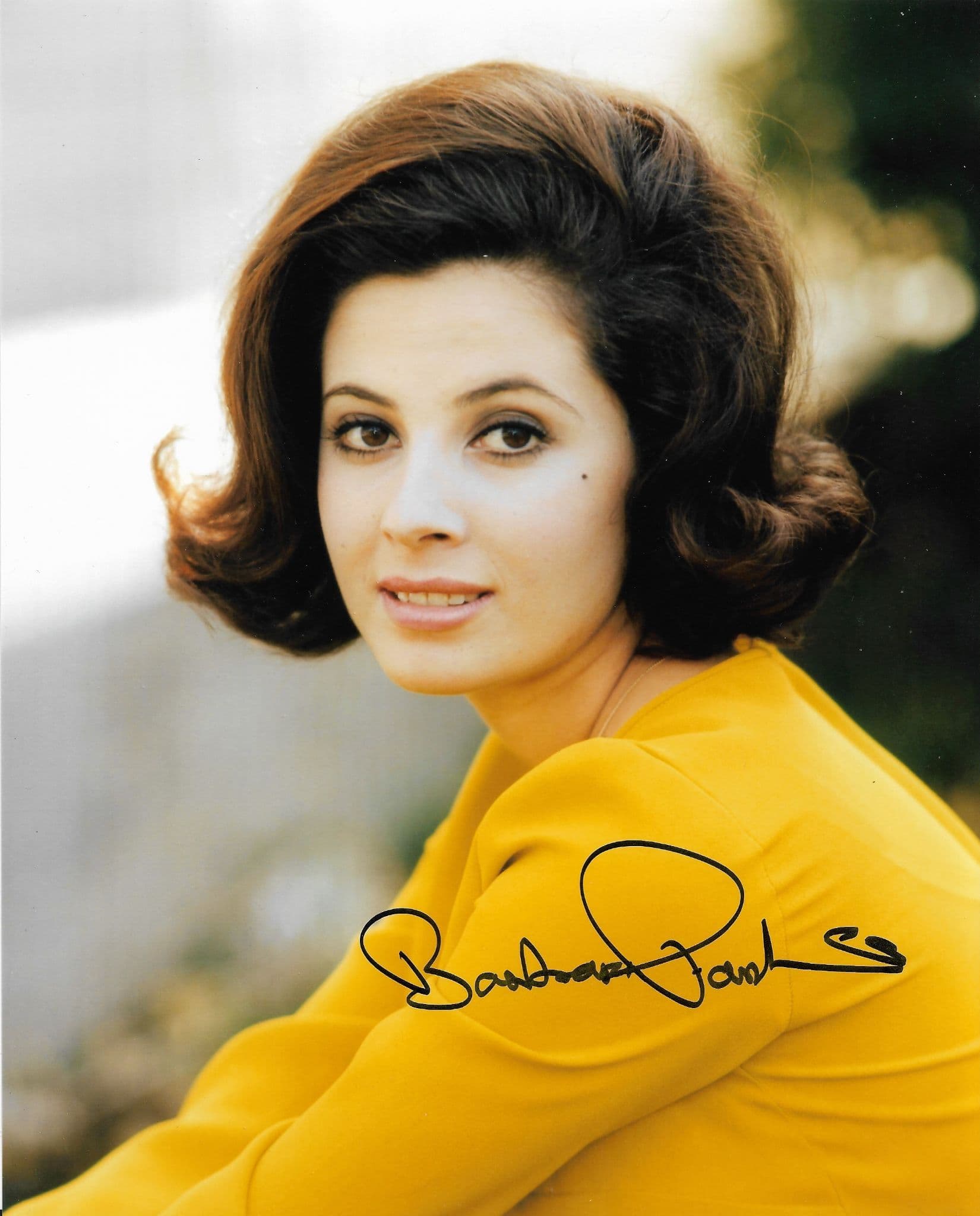 Barbara Parkins Barbara Parkins Genuine Signed Autograph 10x8 COA