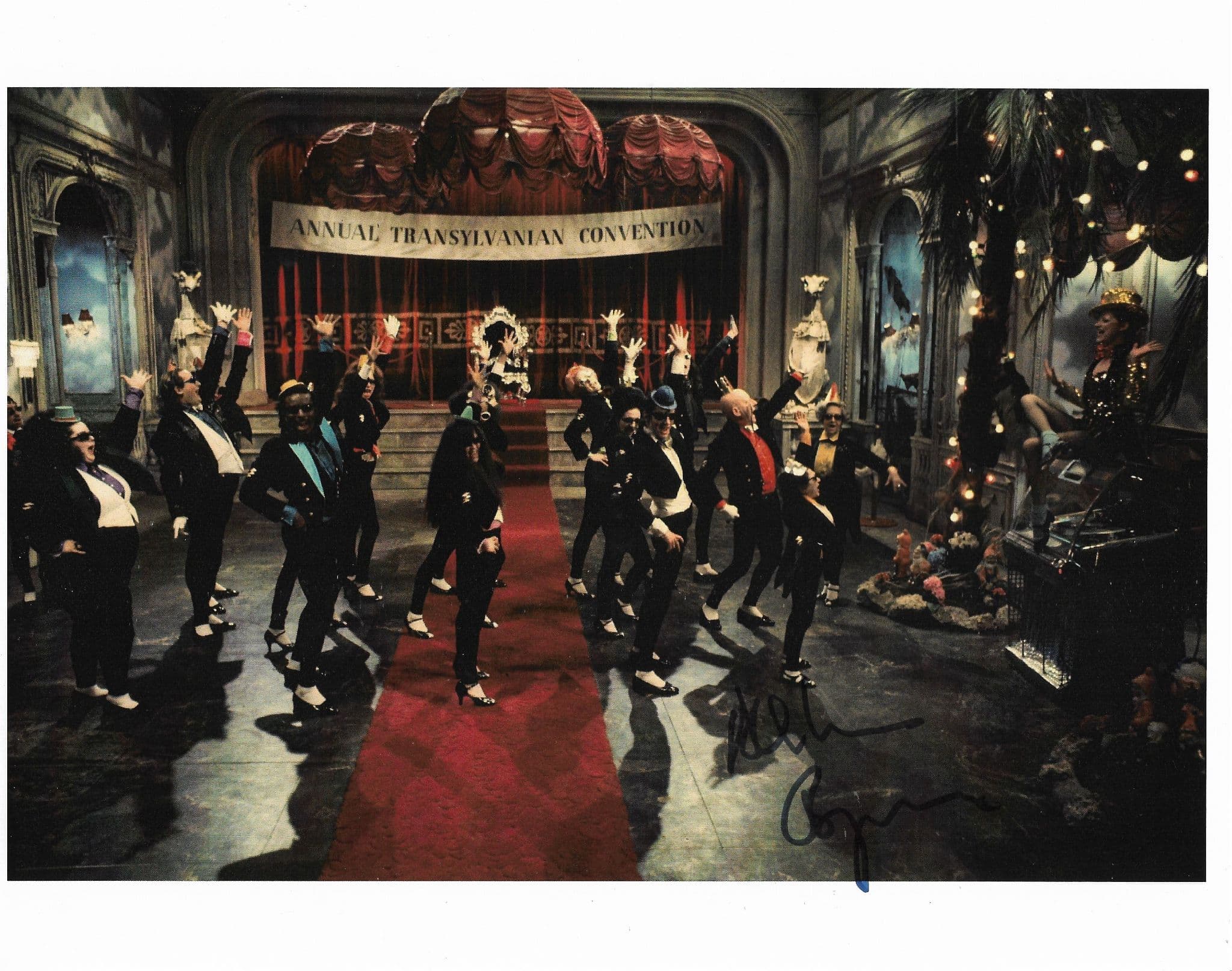 Christopher Biggins Rocky Horror 10x8 Genuine Signed Autograph Coa 12072