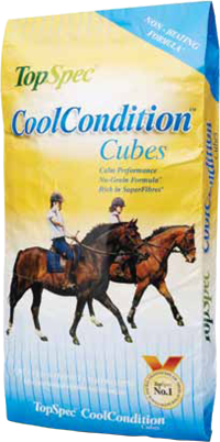 TopSpec CoolCondition Cubes 20kg
