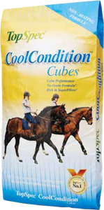 TopSpec CoolCondition Cubes 20kg