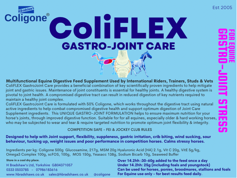 ColiFLEX GastroJoint Care 1