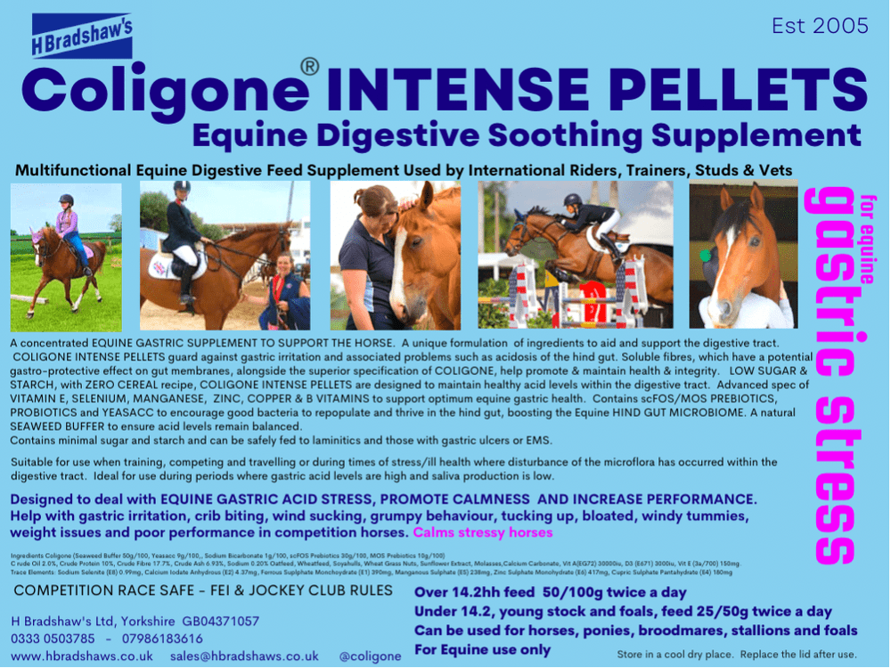 Coligone INTENSE PELLETS