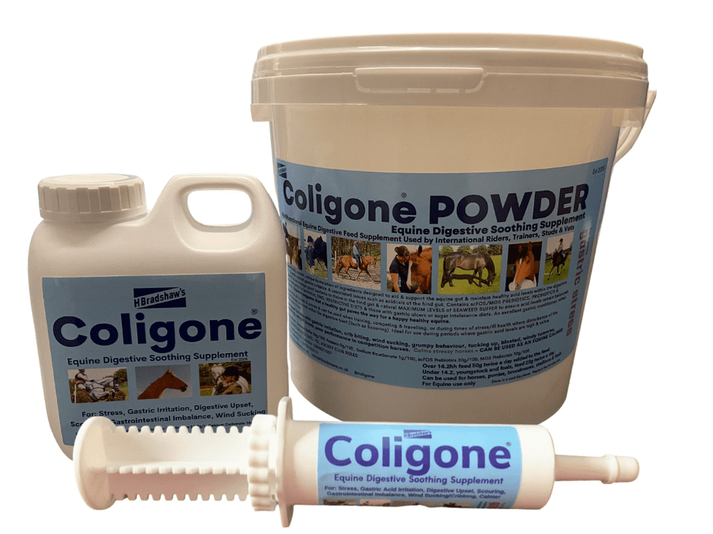 The Coligone Starter Pack