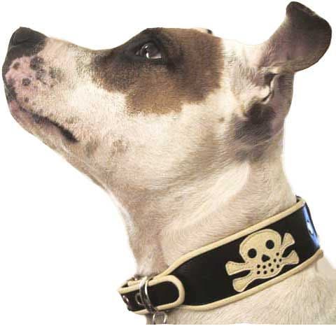 Pirate Dog Collar as seen in "Tamara Drewe" - Holly & Lil Collars ...