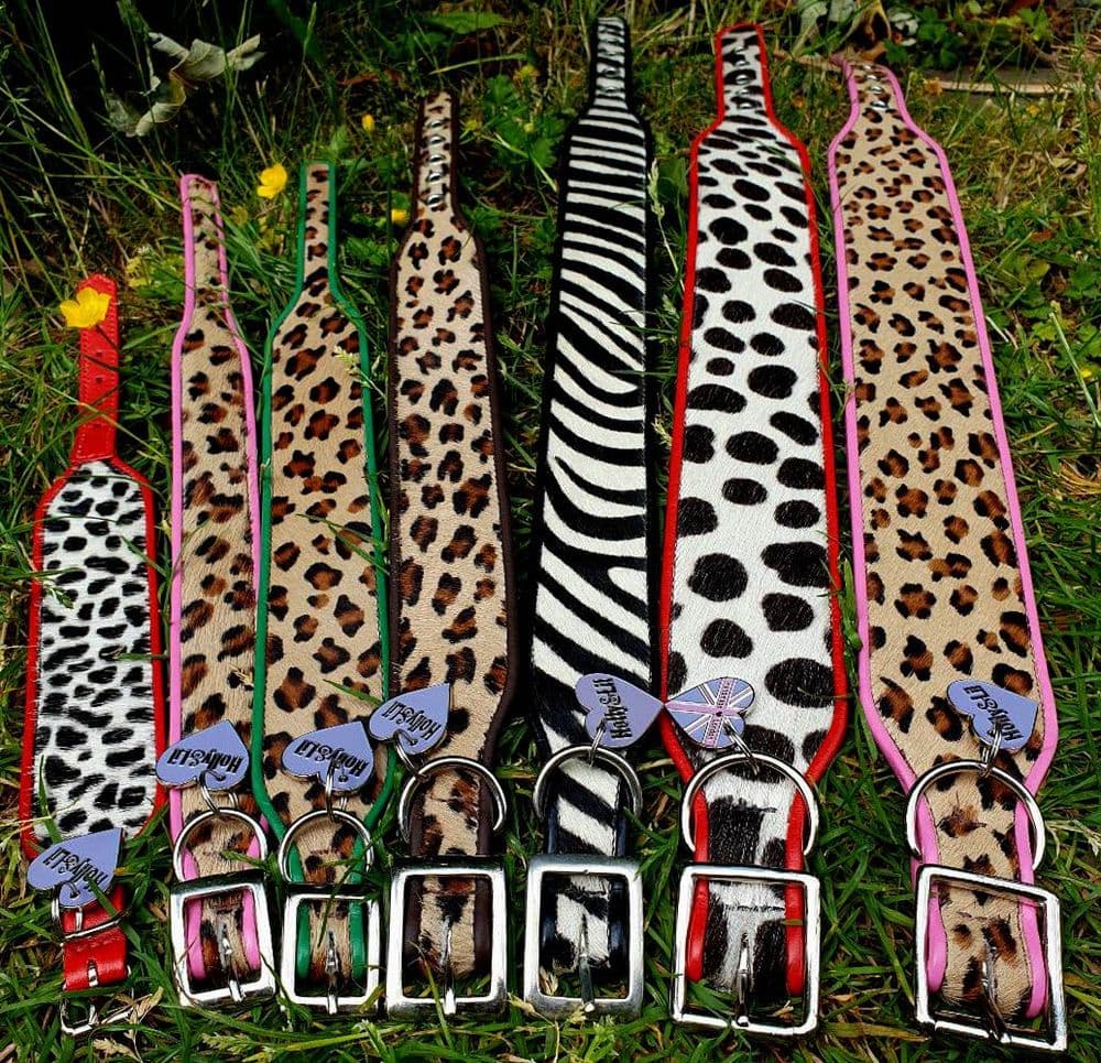 Everyday Dog Collars Leopard Zebra and Ocelot - Holly & Lil Collars ...