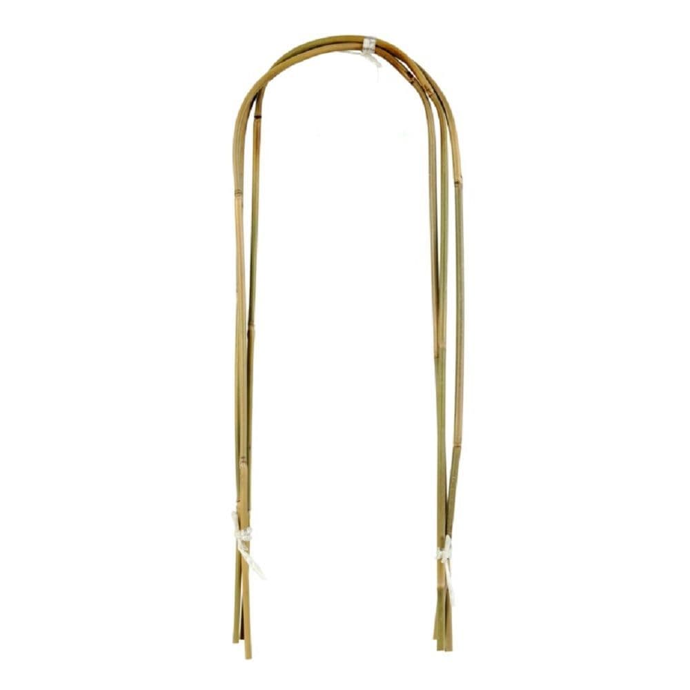 3 Pack U Shaped Bamboo Cane Plant Supports 60cm