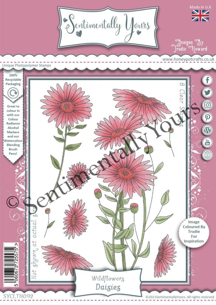 Wildflowers - Daisies A6 Stamp Set