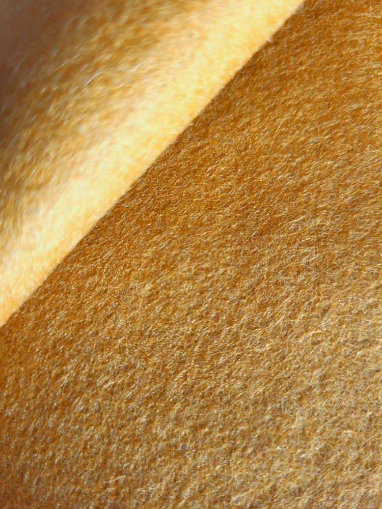Gold 8 x 12 inch