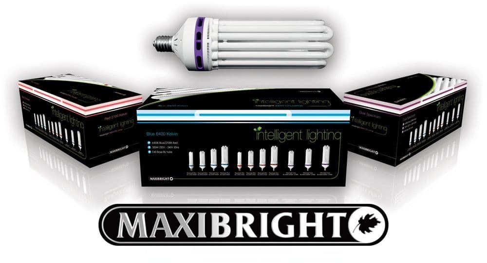 300w Maxibright cfl Bulb