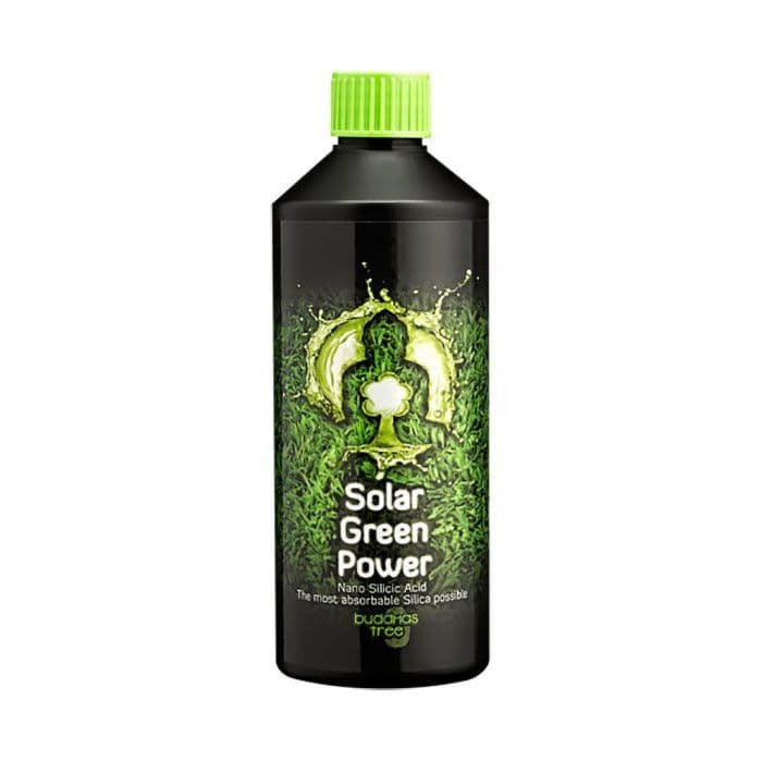 Buddhas Tree Solar Green Power Silicic Acid