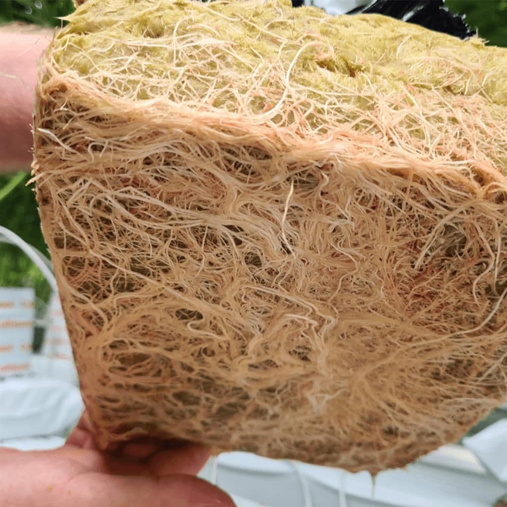 Cultiwool Mini Rockwool Slab