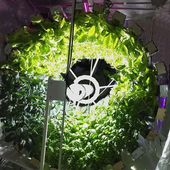 Gi Grow Rotating plant system 144 plants