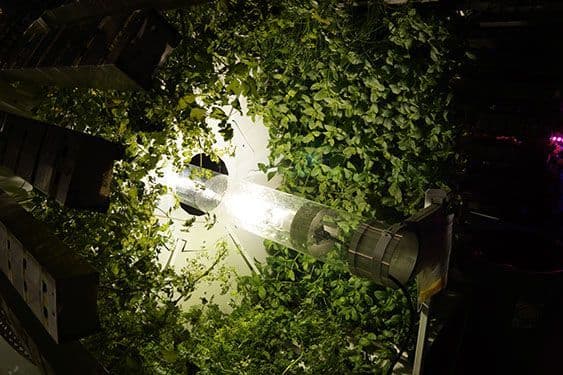 Gi Grow Rotating plant system 144 plants