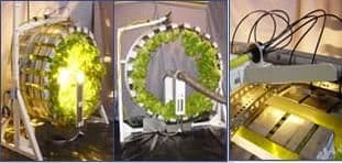 Gi Grow Rotating plant system 336 plant kit