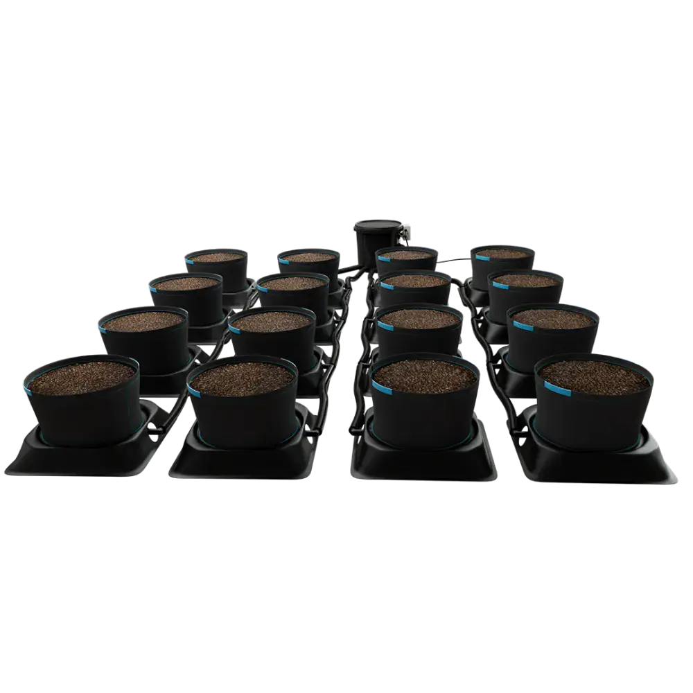 IWS Autodrain Standard Hydroponic System