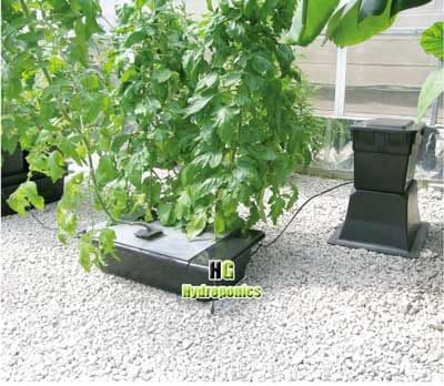 NFT GroTank gt205