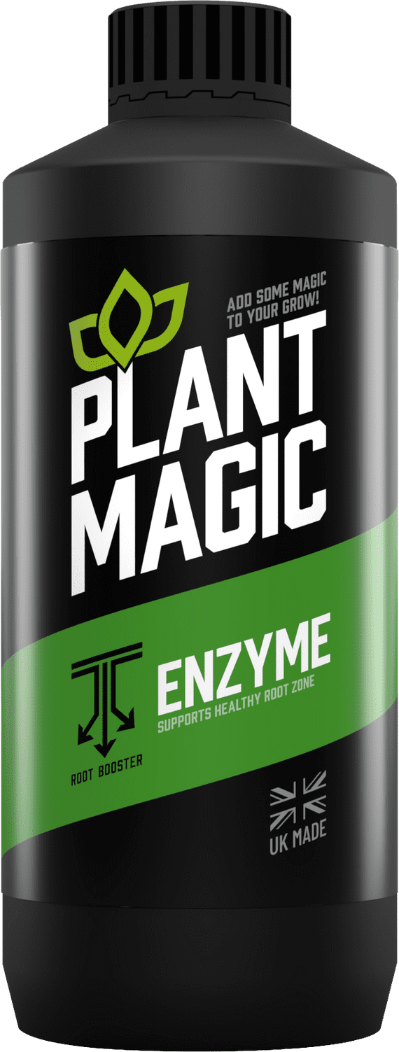 Plant magic Enzyme