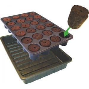 ROOT T Natural Rooting Sponge 24 Cell Filled Trays