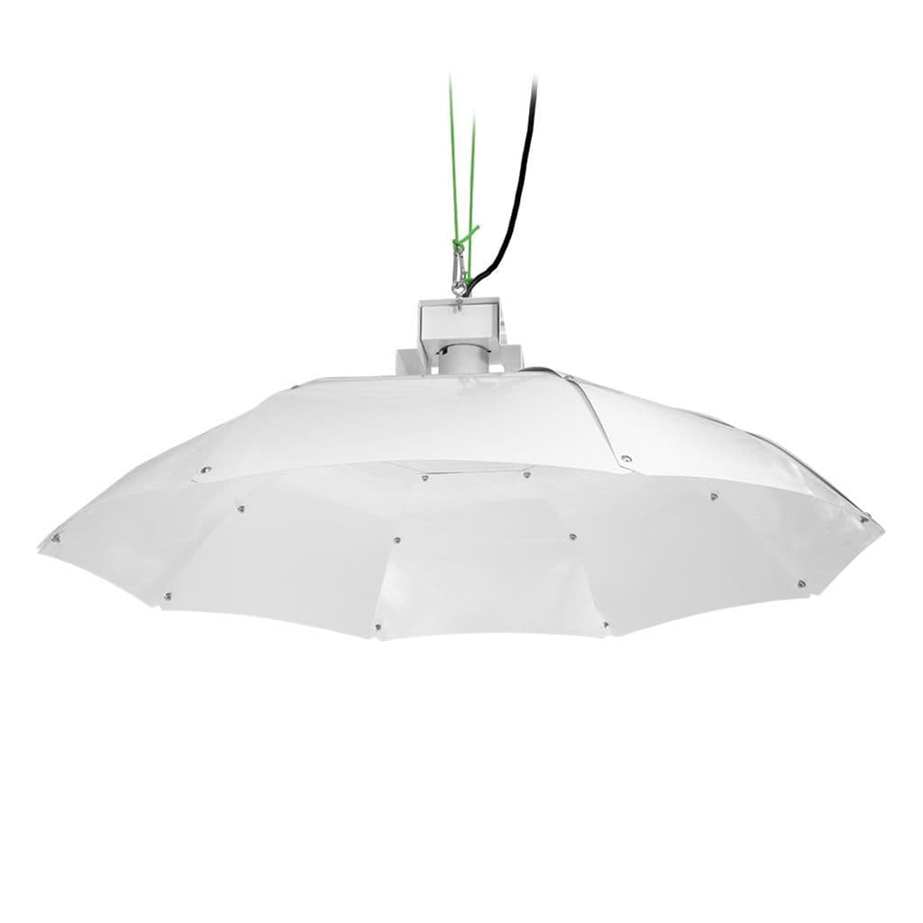 Sun King Parabolic Reflector