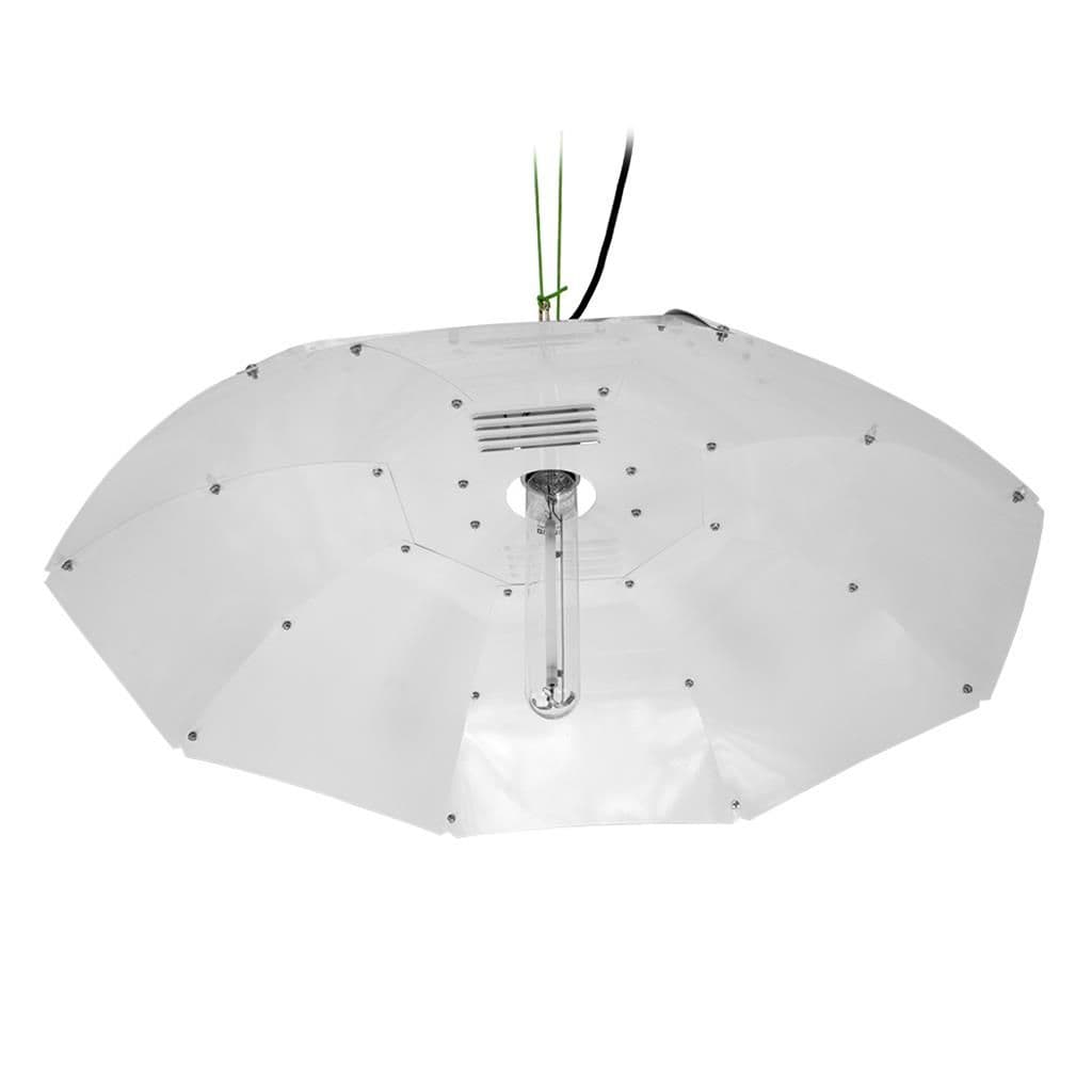 Sun King Parabolic Reflector