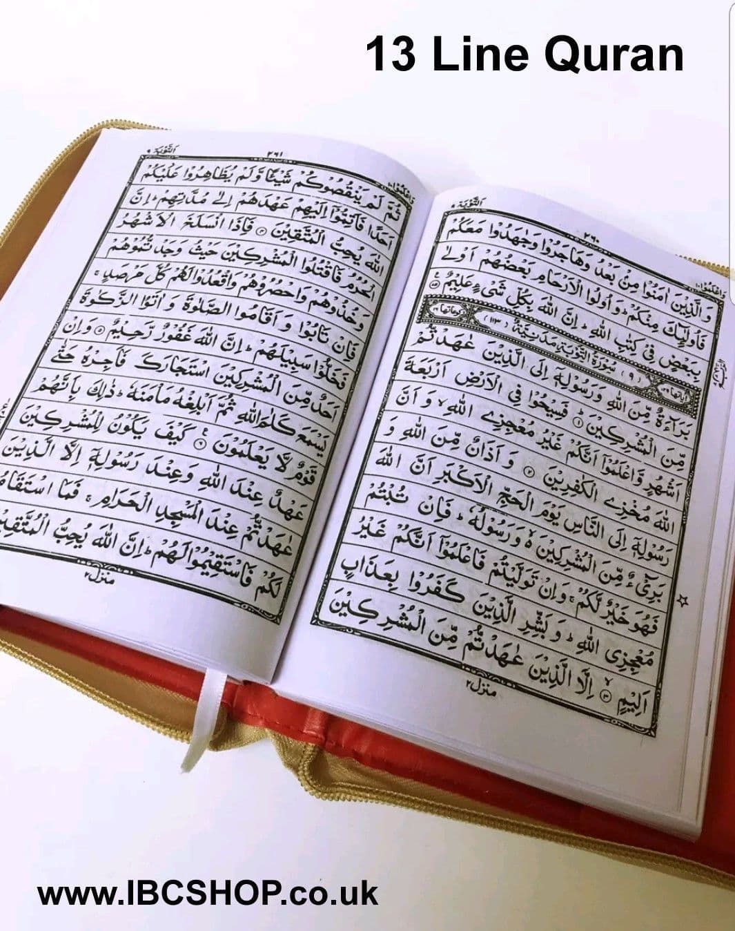 Small Arabic Quran with Gold case with zip Madrasha Masjid Childern Travel