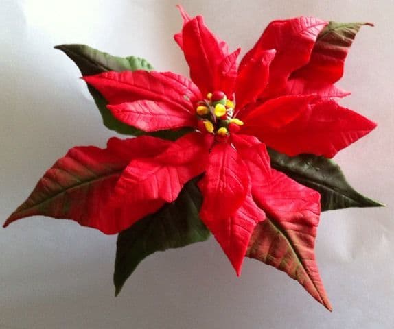 Jem Cutter Set Poinsettia set of 10
