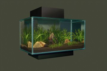 Fluval Edge 23 Litre
