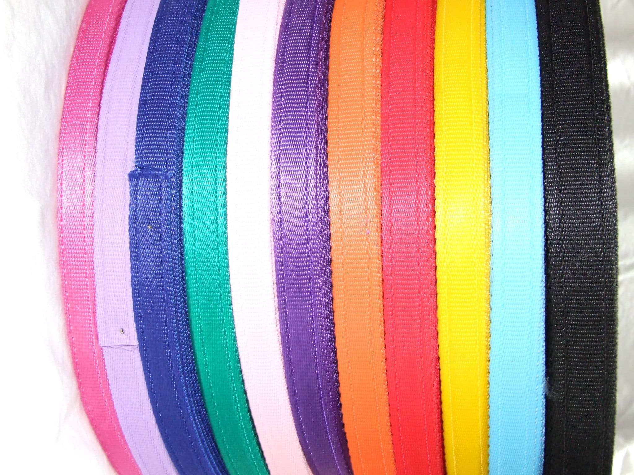 CUSHION WEBBING HANDLE CHUCKIT ULTRA BALL AND SHEEPSKIN