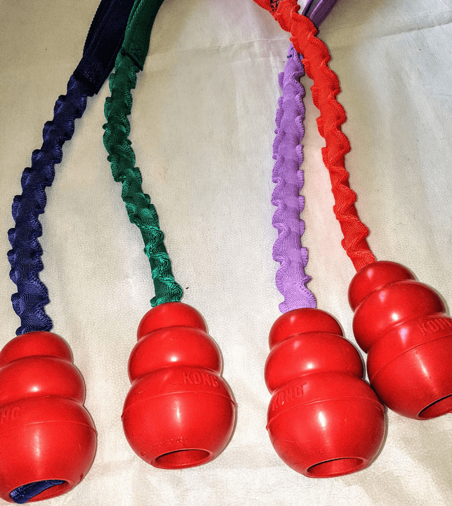 Kong classic bungee tug