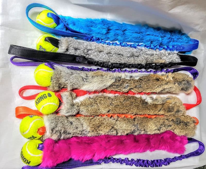 Long bungee rabbit chase with tennis ball