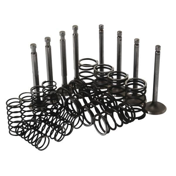 Ferguson TEF Engine Valve Overhaul Kit 20C