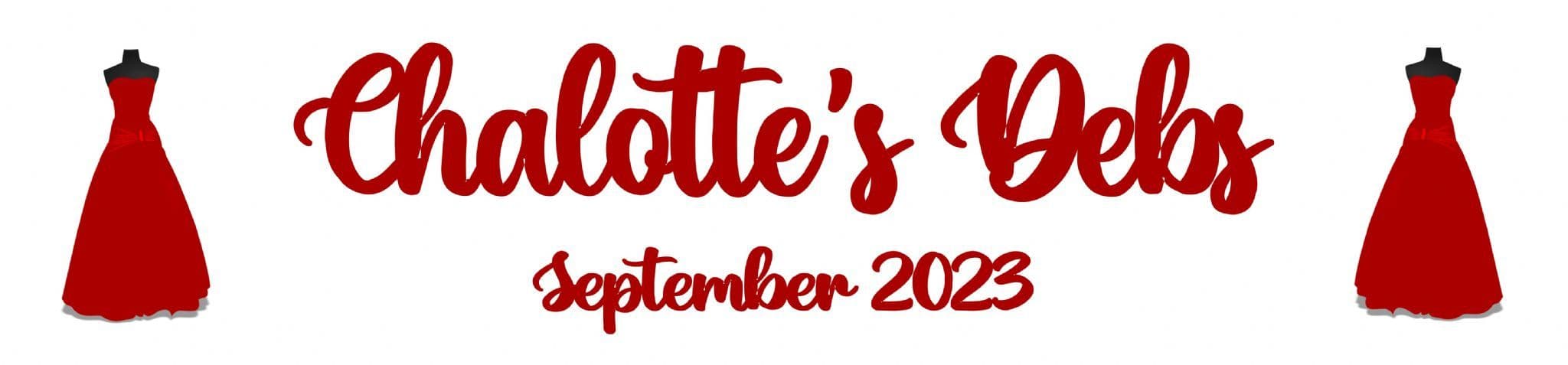 Personalised Debs Red Dress Banner