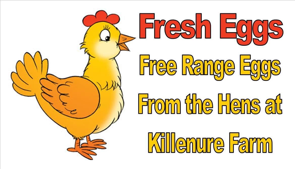 Personalised Egg Box Labels Design Image 1