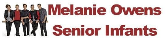 Personalised One Direction Pencil Sticker