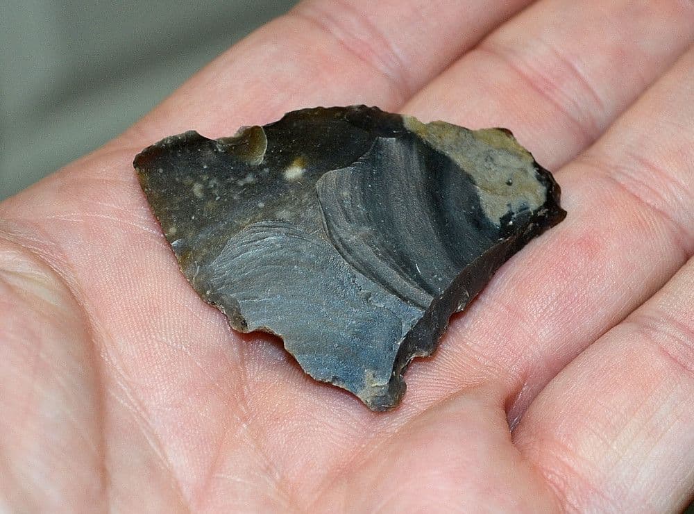 A large excellent early Neolithic "Transverse Tranchet " flint ...