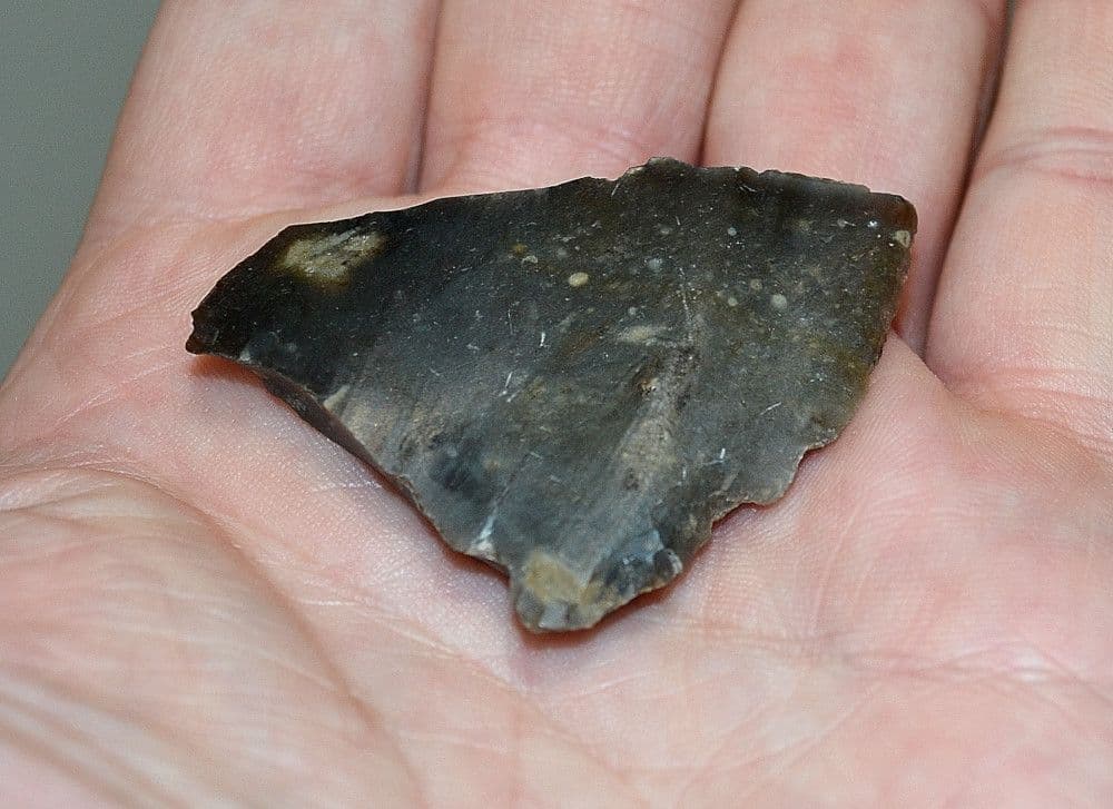 A large excellent early Neolithic "Transverse Tranchet " flint ...