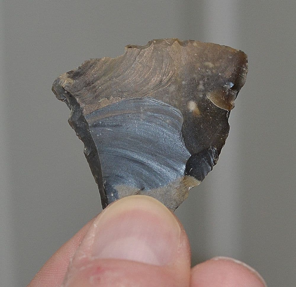 A large excellent early Neolithic "Transverse Tranchet " flint ...