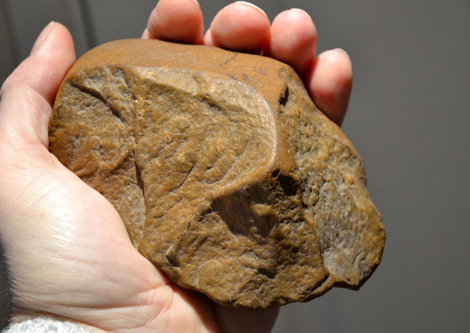 A large heavy and impressive Early Palaeolithic Acheulian Pebble Hand ...