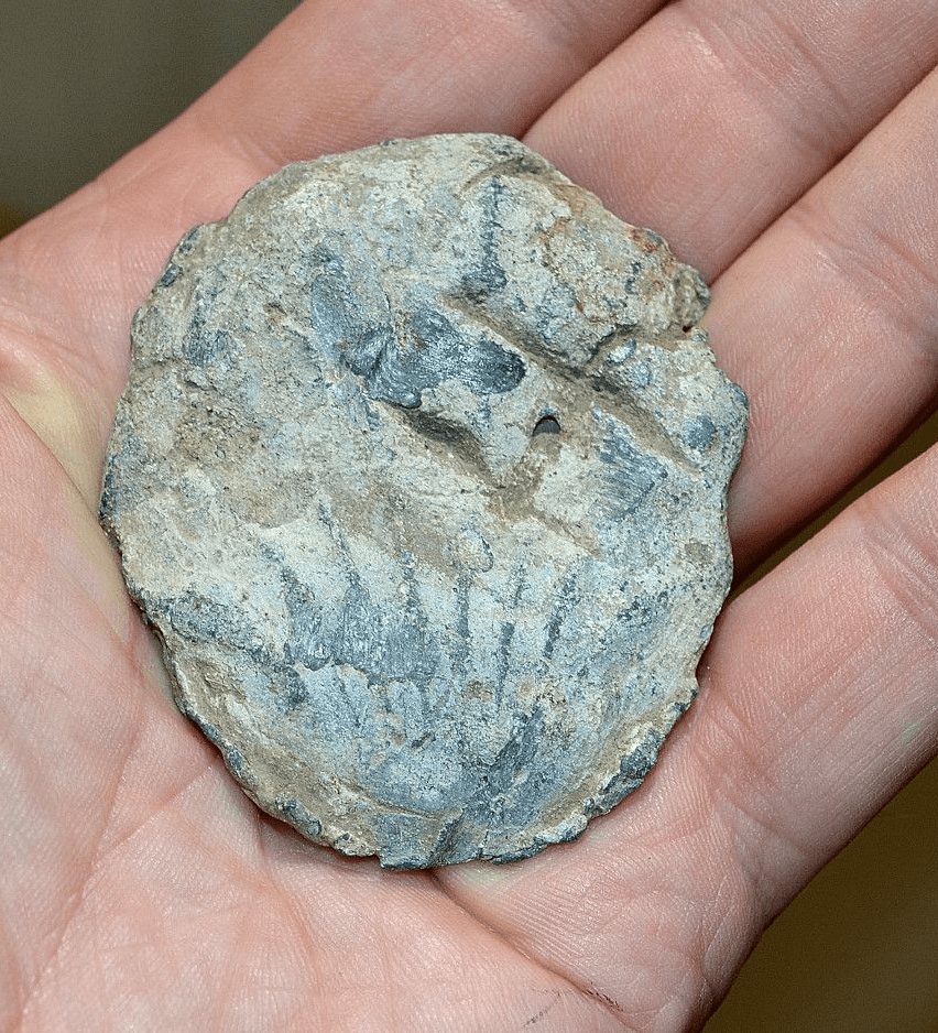 A large heavy and unusual Roman lead shell applique or weight ...