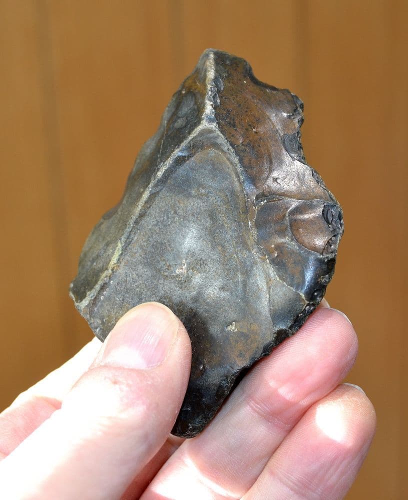 A large Neanderthal Textbook "Levallois" flint flake scraper tool Kent SOLD