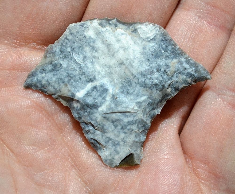 A large scarce & exceptional Early Neolithic Transverse Chisel tipped ...