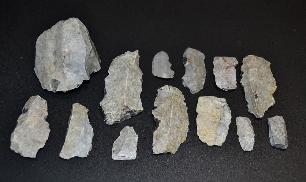 A lot of 12 x Mesolithic Portland flaked Chert Bladelets & Core ...