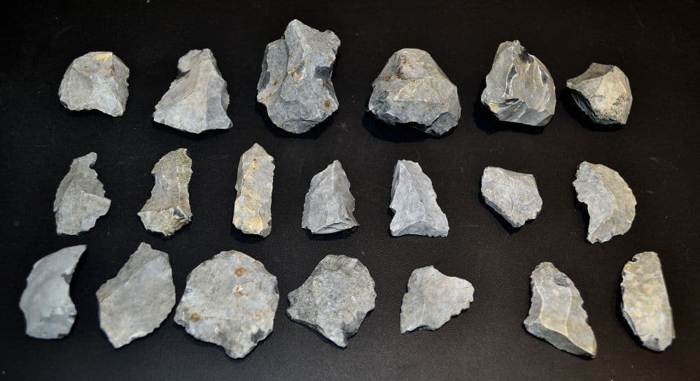 A lot of 20 x Mesolithic Portland flaked Chert Blades & Cores Portland ...