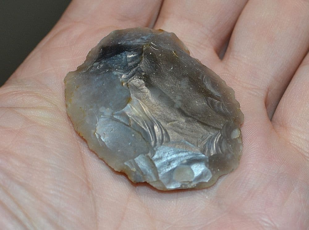 A nicely worked Neolithic semi-translucent discoidal flint scraper tool ...