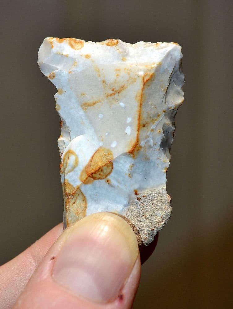 A rare and large Early Neolithic "Tranchet" Tranverse Chisel tipped ...